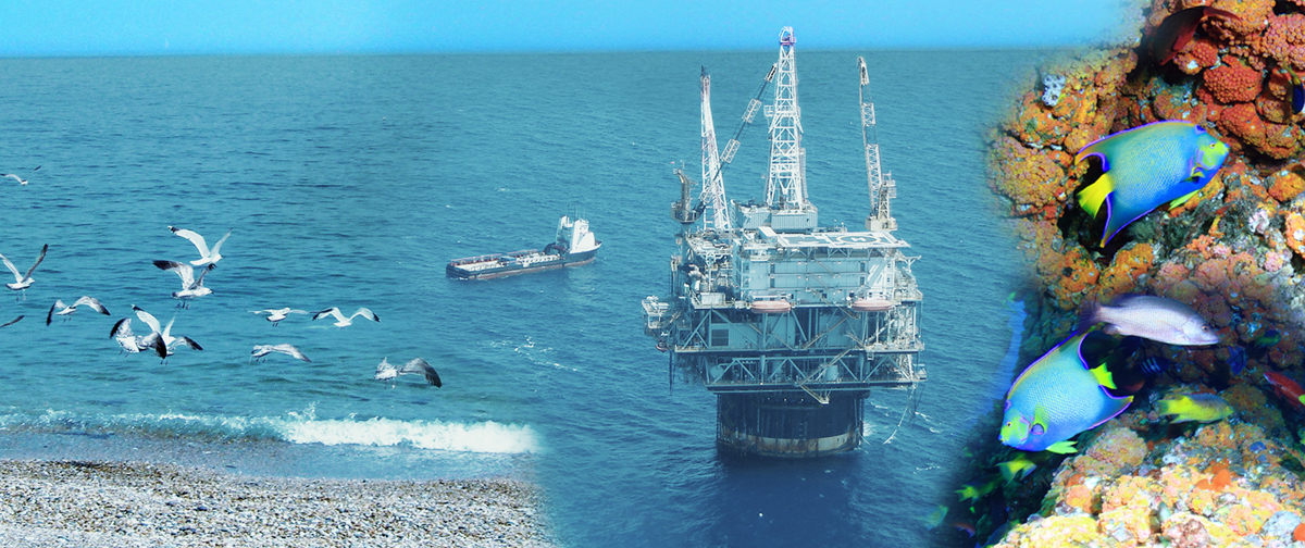 Home | Bureau of Safety and Environmental Enforcement