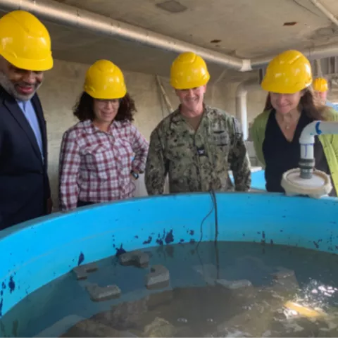 BSEE's Ohmsett Facility Gives Young Oysters a Chance to Thrive; Helps ...